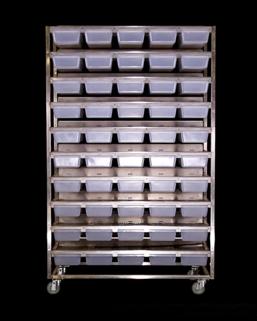 Rodent 1050-10 - Freedom Breeder