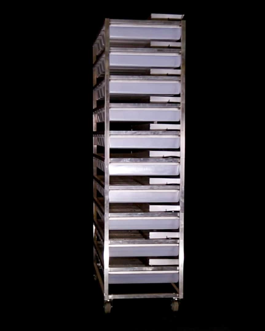 Rodent 1050-10 - Freedom Breeder