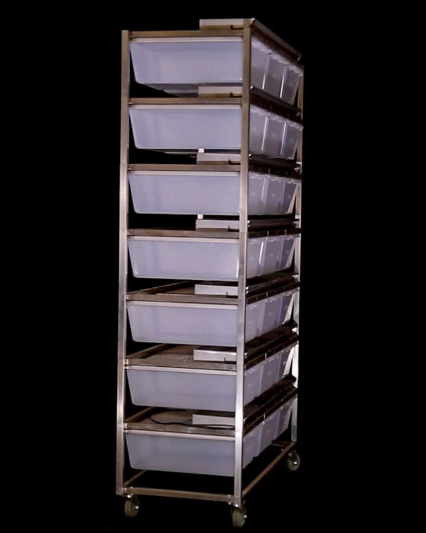 Rodent 721-30 - Freedom Breeder