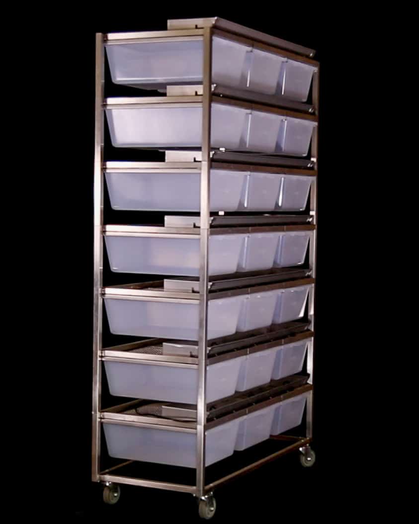 Rodent 721-30 - Freedom Breeder