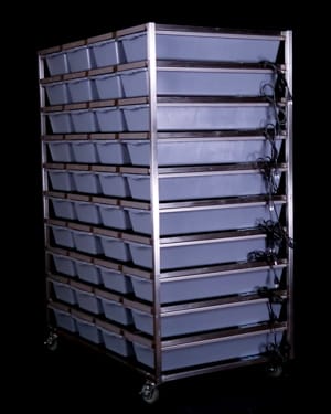 Reptile 1040-40 Reptile Rack - Freedom Breeder Snake Racks